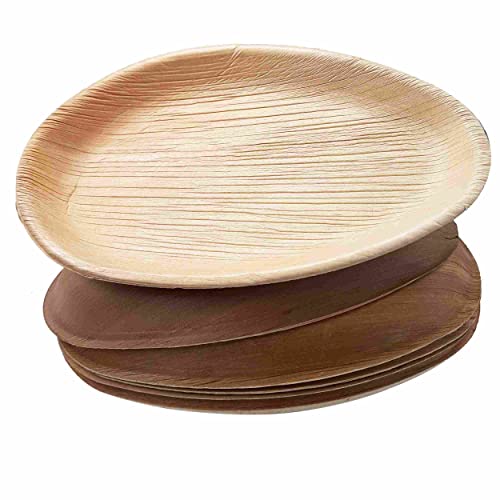 Dtocs Palm Leaf Plates Pack 50, 10X6 Inch Oval | Eco-friendly, Compostable, Natural, Organic Disposable Party Plates For Wedding, Camping, Birthday Dinner | Better Than Bamboo, Paper Plates