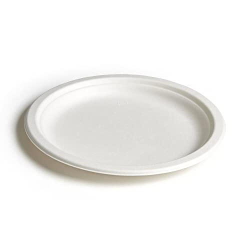 250 Pcs of Compostable Paper Plates 9 White PK56338