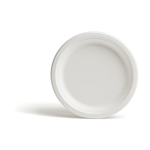 250 Pcs of Compostable Paper Plates 9 White PK56338