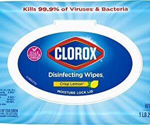 Clorox Disinfecting Wipes, Bleach Free Cleaning Wipes, 75 Wipes, Pack of 3, Fresh Scent (Package May Vary)