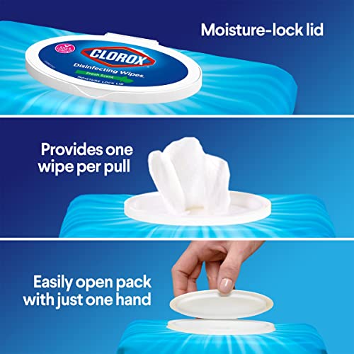 Clorox Disinfecting Wipes, Bleach Free Cleaning Wipes, 75 Wipes, Pack of 3, Fresh Scent (Package May Vary)