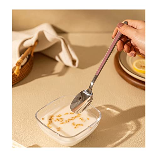 Spoons Soup Spoon Stainless Steel Spoon Household Soup Spoon Long Handle Rice Spoon Durable Delicate Bright Spoon Teaspoon (Color : Bigblue Mug)