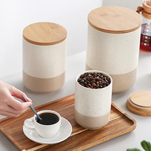 vancasso Sabine Canister Sets for Kitchen Counter, 20 OZ and 40 Oz Ceramic Food Storage Jars with Airtight Wood Lids, Large Kitchen Canisters for Coffee, Sugar, Tea, Flour, Spice