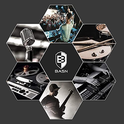 BASN Professional in Ear Monitor Headphones for Singers Drummers Musicians with MMCX Connector IEM Earphones (Pro Clear Black)