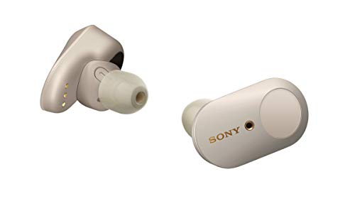 Sony Industry Leading Noise Canceling Truly Wireless Earbuds Compatible with Alexa Voice Control, Silver - Worldwide Version