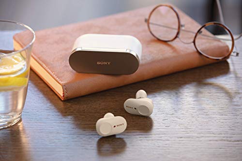 Sony Industry Leading Noise Canceling Truly Wireless Earbuds Compatible with Alexa Voice Control, Silver - Worldwide Version