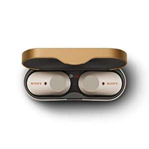 Sony Industry Leading Noise Canceling Truly Wireless Earbuds Compatible with Alexa Voice Control, Silver - Worldwide Version