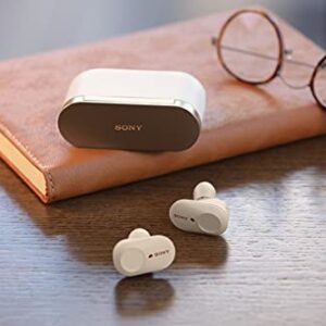 Sony Industry Leading Noise Canceling Truly Wireless Earbuds Compatible with Alexa Voice Control, Silver - Worldwide Version