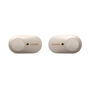 Sony Industry Leading Noise Canceling Truly Wireless Earbuds Compatible with Alexa Voice Control, Silver - Worldwide Version