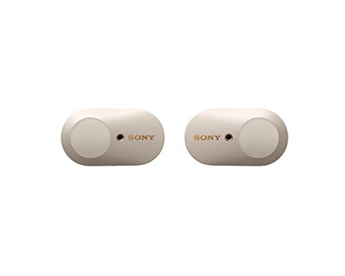 Sony Industry Leading Noise Canceling Truly Wireless Earbuds Compatible with Alexa Voice Control, Silver - Worldwide Version