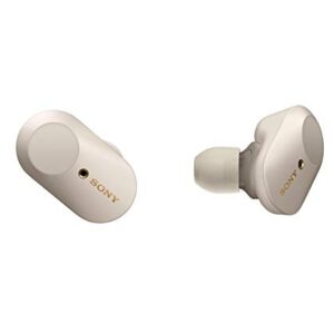 Sony Industry Leading Noise Canceling Truly Wireless Earbuds Compatible with Alexa Voice Control, Silver - Worldwide Version