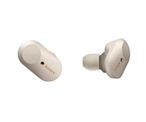 Sony Industry Leading Noise Canceling Truly Wireless Earbuds Compatible with Alexa Voice Control, Silver - Worldwide Version