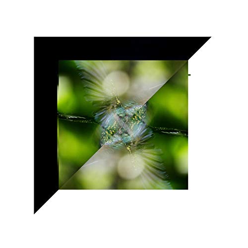 ConClarity 1 in x 60 ft - Vibrancy Enhancing Projector Screen Felt Tape Border Deepest Black Ultra High Contrast Flocking for DIY Screen Borders Absorbs Light, Brightens Image & Stops Bleed