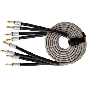 HANNLINTE 12AWG Speaker Cable Wire (2 Pack, 6 Feet) with Gold Plated Banana Plugs (OFC), 12 Gauge Speaker Banana Wire, Silver