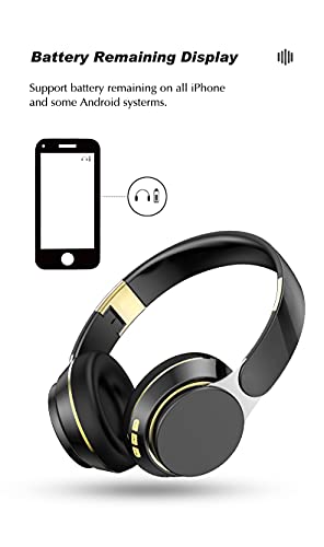 Bluetooth Headphones V5.1 with Mic, Wireless Headsets with Active Noise Canceling, Over-Ear ANC Stereo Headphones for Cell Phones Laptop Computer (Black)