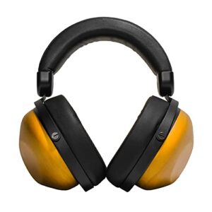 HIFIMAN HE-R10D Dynamic Topology Driver Close-Back Over-Ear Headphones with Bluemini R2R for Home, Studio and Recording, Easily Switch Between Wired and Wireless, Bluetooth Headphones