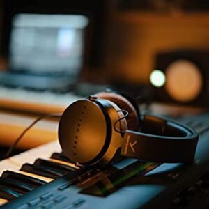 beyerdynamic DT 700 PRO X Closed-Back Studio Headphones with Stellar.45 Driver for Recording and Monitoring on All Playback Devices