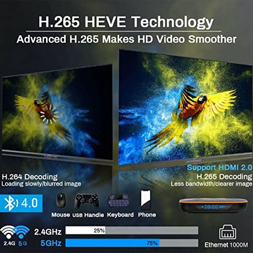 Ebid Dealz Replacement for HK1 R1 Pro Android 11.0 Quad Core 4GB RAM 128GB ROM 4K Smart 5G WiFi Media Streamer TV Box Black