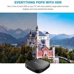 X88 PRO T 5G Android 10.0 TV Box 2GB RAM 16GB ROM Allwinner H313 Quad-Core 64bit with Dual-WiFi 2.4G/5.8 GHz Ultra HD 6K H.265 WiFi Home TV Box