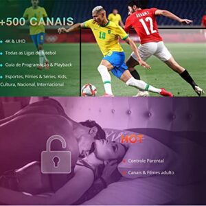 2023 Brazilian IPTV Brazil Brasil TV Box Mini Size Remote Control ARM Cortex A53 CPU ARM Mali-450 GPU 4K Android 10