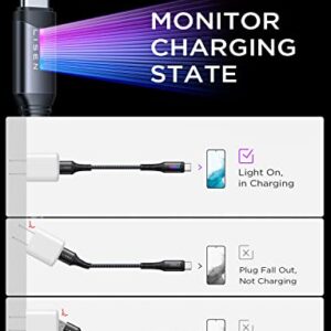 LISEN 3.2A USB C Cable Fast Charger [2 Pack/6.6FT], USB A to USB C Charger Cable Fast Charging Cord with LED Light and Rubber-Sleeved SR Compatible with Samsung Galaxy S20/S10/S9/Note 10/9