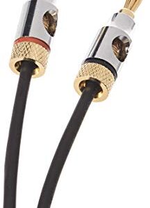 Amazon Basics 16AWG Speaker Cable Wire with Gold-Plated Banana Tip Plugs (4mm) - CL2 - 99.9% Oxygen Free - 6-Foot