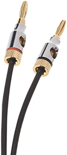 Amazon Basics 16AWG Speaker Cable Wire with Gold-Plated Banana Tip Plugs (4mm) - CL2 - 99.9% Oxygen Free - 6-Foot