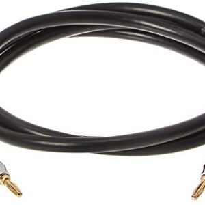 Amazon Basics 16AWG Speaker Cable Wire with Gold-Plated Banana Tip Plugs (4mm) - CL2 - 99.9% Oxygen Free - 6-Foot