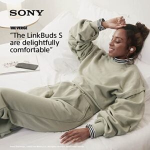 Sony LinkBuds S Truly Wireless Noise Canceling Earbud Headphones with Alexa Built-in, Bluetooth Ear Buds Compatible with iPhone and Android, Black