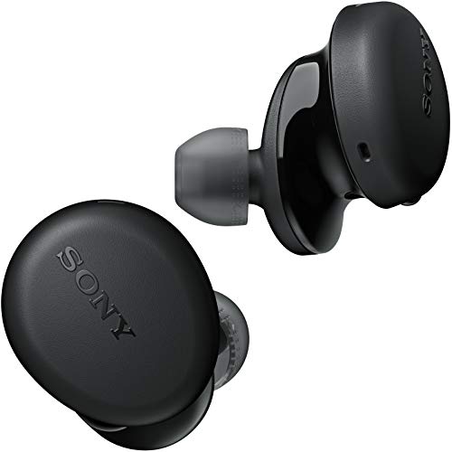 Sony WF-XB700 EXTRA BASS True Wireless Earbuds Headset/Headphones with Mic for Phone Call Bluetooth Technology, Black