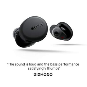 Sony WF-XB700 EXTRA BASS True Wireless Earbuds Headset/Headphones with Mic for Phone Call Bluetooth Technology, Black