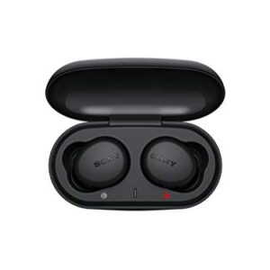 Sony WF-XB700 EXTRA BASS True Wireless Earbuds Headset/Headphones with Mic for Phone Call Bluetooth Technology, Black