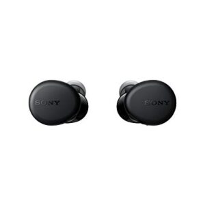 Sony WF-XB700 EXTRA BASS True Wireless Earbuds Headset/Headphones with Mic for Phone Call Bluetooth Technology, Black