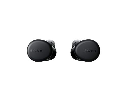 Sony WF-XB700 EXTRA BASS True Wireless Earbuds Headset/Headphones with Mic for Phone Call Bluetooth Technology, Black