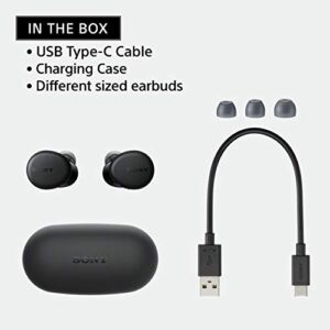 Sony WF-XB700 EXTRA BASS True Wireless Earbuds Headset/Headphones with Mic for Phone Call Bluetooth Technology, Black