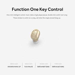 AIYIBEN Mini Bluetooth Earbud Smallest Wireless Invisible Headphone with 4-5 Hour Playtime Headset with Mic for iPhone & Android (Skin)