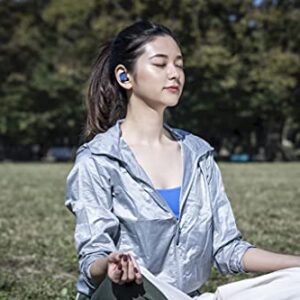 JBL REFLECT FLOW - True Wireless Earbuds, bluetooth sport headphones with microphone, Waterproof, up to 30 hours battery, charging case and quick charge (Blue)