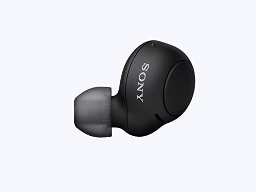 Sony WF-C500 Truly Wireless in-Ear Bluetooth Earbud Headphones (Renewed)