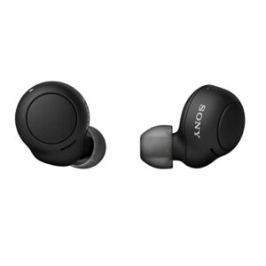 Sony WF-C500 Truly Wireless in-Ear Bluetooth Earbud Headphones (Renewed)