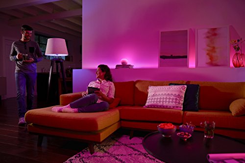 Philips Hue Go Connector LED Smart Portable Light White and Color Ambiance NA Watt Equivalence