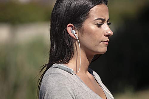 iFrogz - Free Rein 2 Sport in Ear Bluetooth Headphones - White