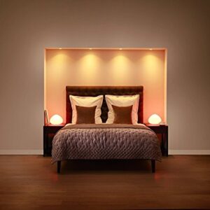 Philips Hue White and Color Ambiance BR30 Starter Kit (Older Model, 3 BR30 Bulbs and Bridge, Compatible with Amazon Alexa, Apple HomeKit and Google Assistant)