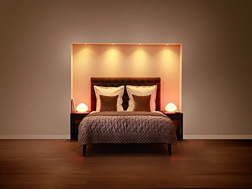 Philips Hue White and Color Ambiance BR30 Starter Kit (Older Model, 3 BR30 Bulbs and Bridge, Compatible with Amazon Alexa, Apple HomeKit and Google Assistant)