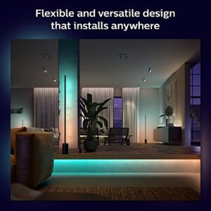 Philips Hue Gradient Signe Floor Lamp, Compatible with Alexa, Apple HomeKit and Google Assistant, White & Gradient Ambiance Lightstrip (2m/6ft Base Kit with Plug), Flowing Multicolor Effect