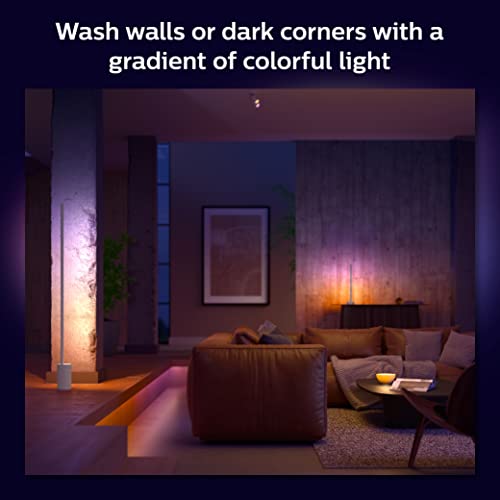 Philips Hue Gradient Signe Floor Lamp, Compatible with Alexa, Apple HomeKit and Google Assistant, White & Gradient Ambiance Lightstrip (2m/6ft Base Kit with Plug), Flowing Multicolor Effect