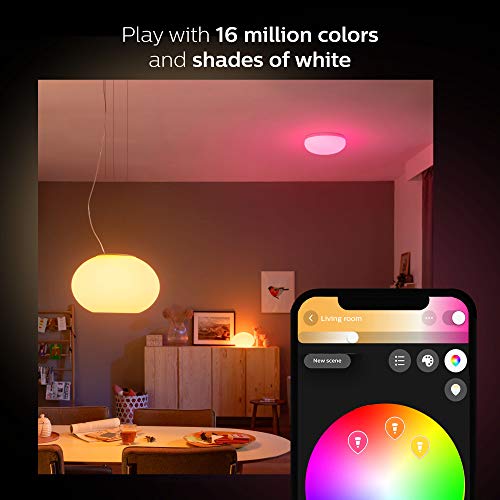 Philips Hue Flourish White & Color Ambiance Smart Pendant Lamp, Compatible with Alexa (Requires Hue Hub)