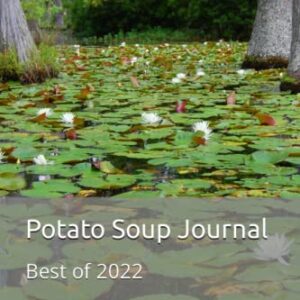 Potato Soup Journal: Best of 2022