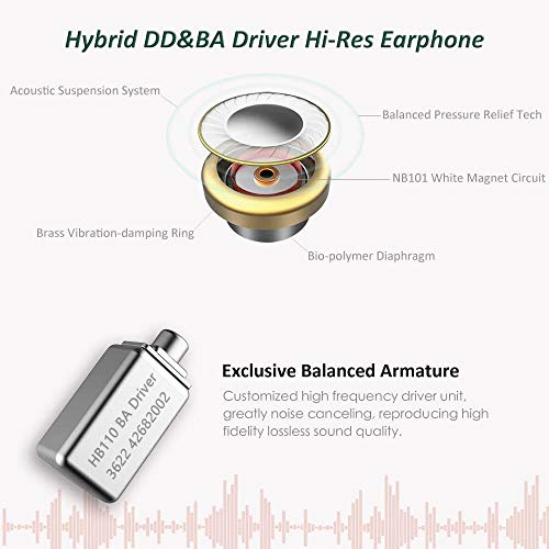 Surfans SE01 IEM Headphone, High-Res Lossless Hybrid Driver Bass in Ear Monitors Earphone, Noise Isolating Wired Earbuds with 0.78mm 2pin Detachable Cable