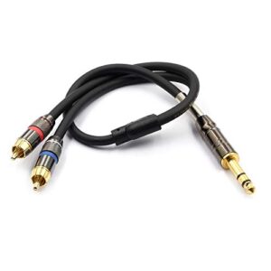 TISINO RCA to 1/4 Cable, Quarter inch TRS to RCA (1/4 Stereo to 2 RCA) Audio Y Splitter Cable Insert Cable - 10 feet/3 Meters