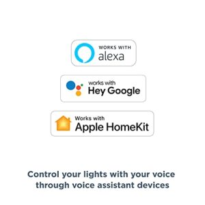 Brilliant Smart Dimmer Switch (Gray) — Compatible with Alexa, Google Assistant, Apple HomeKit, Hue, LIFX, SmartThings, TP-Link, Wemo and More